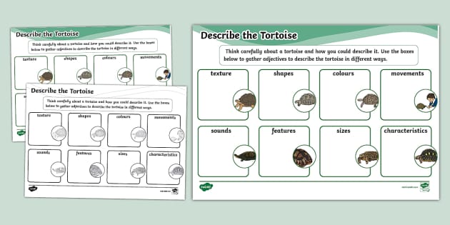 Tortoise Adjectives Worksheet (teacher made) - Twinkl