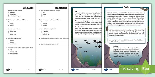 KS1 Bats Reading Comprehension Activity (teacher made)