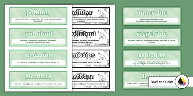Environmental Science Vocabulary Cards (teacher made)