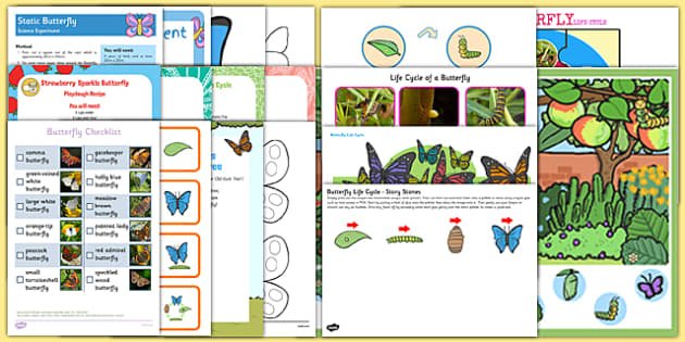 Childminder Butterfly Life Cycle Resource Pack - Twinkl