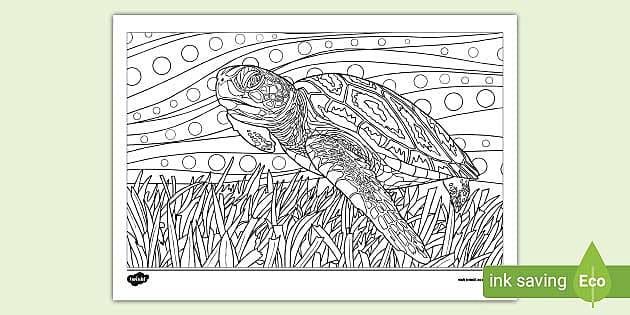 Turtle Mindfulness Colouring Page (teacher made) - Twinkl