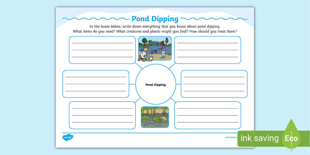 * NEW * Pond Dipping Mind Map (teacher made)
