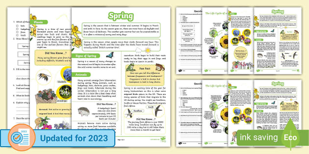 UKS2 Spring Differentiated Reading Comprehension Activity