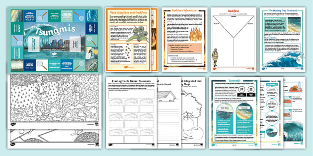 Surviving Situations Year 5 Weeks 3-4 Resource Pack - Twinkl