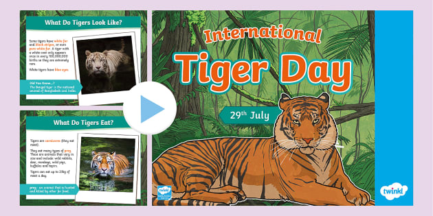 International Tiger Day Whole School Assembly Pack