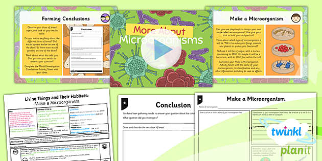 Science: Living Things and Their Habitats: More About Microorganisms Year 6