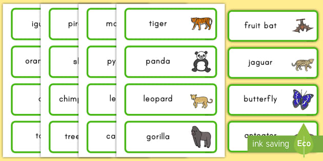 Jungle and Rainforest Word Cards (teacher made) - Twinkl