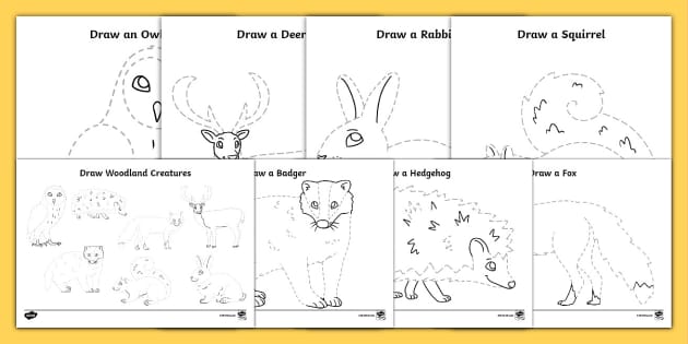 EYFS Draw a Woodland Creature Pencil Control Activity Pack