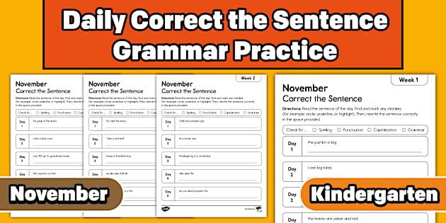 November Daily Correct the Sentence Grammar Practice