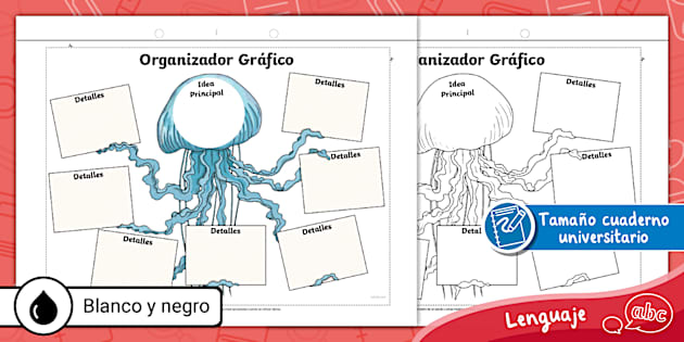 Organizador Gráfico | Ideas Principales | Lenguaje y Comunicación | Chile