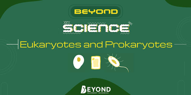Eukaryotes and Prokaryotes KS4 Cell Biology Video | Beyond
