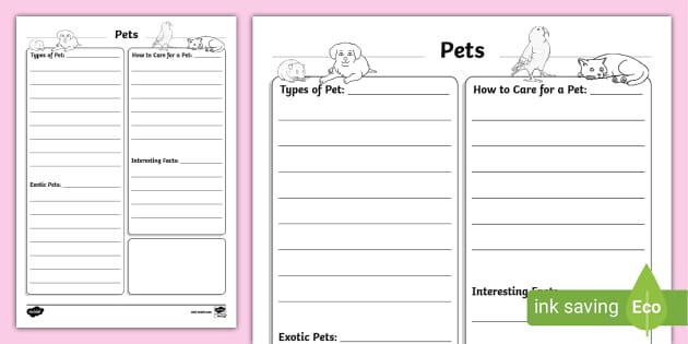 Pets Fact File Template (teacher made)
