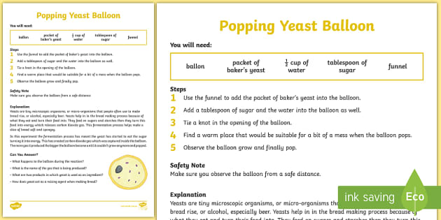Exploding Yeast Balloon Science Experiment (teacher made)