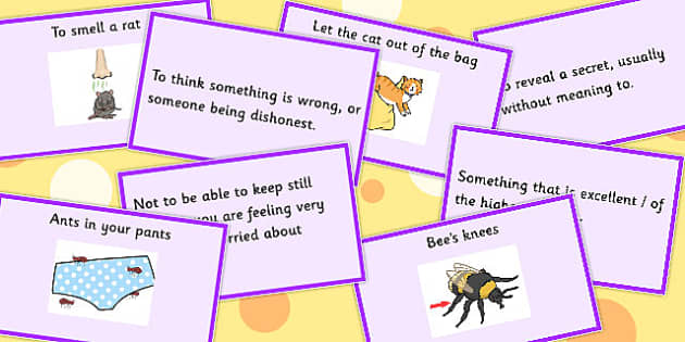 Animal Idioms Matching Cards (teacher made) - Twinkl