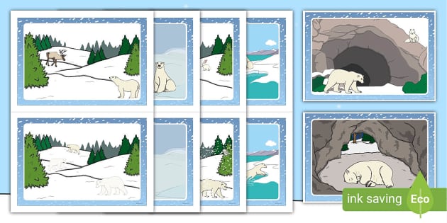 Polar Bear Sensory Story Sequencing Cards (teacher made)