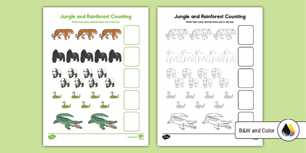 Jungle and Rainforest Counting Activity (teacher made)