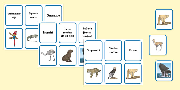 Juego de la memoria: fauna argentina (teacher made) - Twinkl