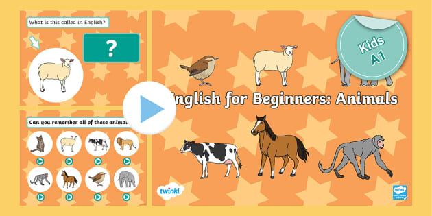 * NEW * ESL English for Beginners: Animals [Kids, A1]