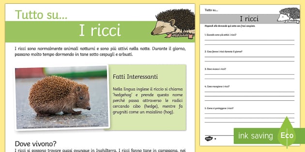 I Ricci Lettura Comprensiva (l'insegnante ha fatto) - Twinkl