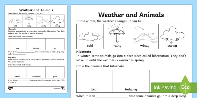 Weather and Animals Worksheet