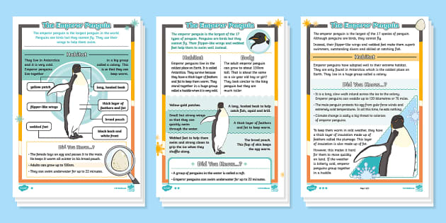 Emperor Penguin Life Cycle Reading Comprehension Activity