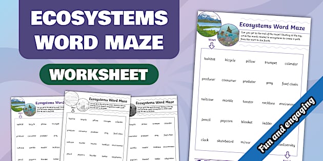 * NEW * Ecosystems Word Maze Worksheet