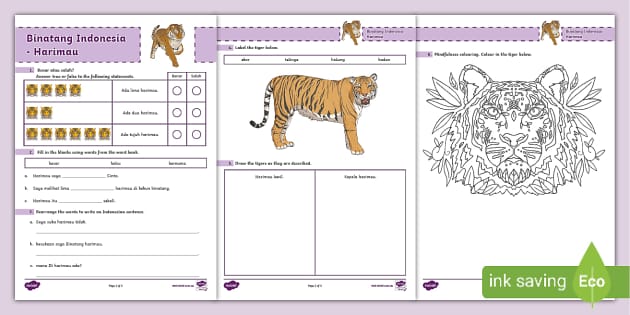 Indonesian Animals: Tigers Activity - Indonesian - Twinkl