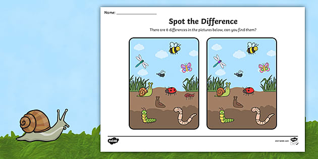 Teacher-Made Minibeasts Spot the Difference Activity