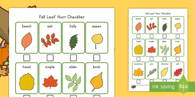 Fall Leaf Hunt Checklist (teacher made) - Twinkl