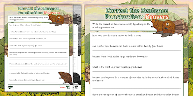 Correct the Sentence Punctuation Worksheet - Twinkl