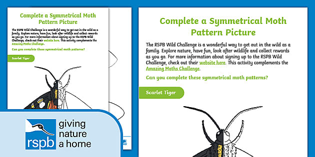 FREE! - Complete a Symmetrical Moth Pattern Picture (Ages 5 - 7)