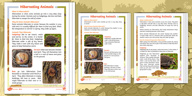 Don't Hog the Hedge! Hibernating Animals Differentiated Reading ...