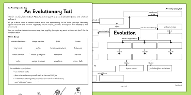 An Evolutionary Tail Worksheet / Worksheet
