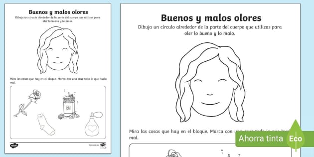 Hoja de actividad: Buenos olores y malos olores | Twinkl