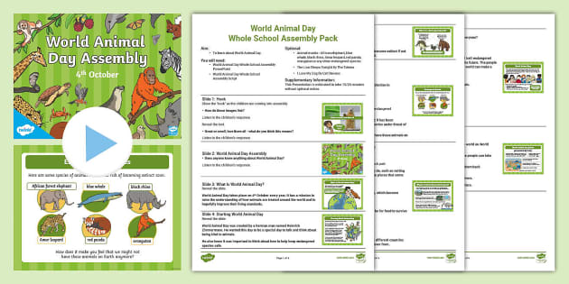 World Animal Day Whole School Assembly Pack (teacher made)