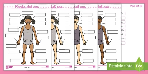 Fitxa d'activitat: Etiquetar les parts del cos - Català