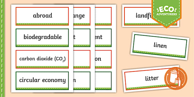 Year 4 Waste: Key Vocabulary Cards (teacher made) - Twinkl