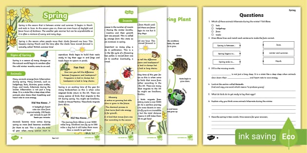 UKS2 Spring Differentiated Reading Comprehension Activity