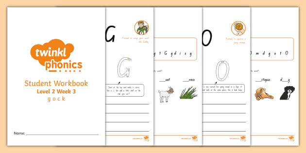 'g, o, c, k' Level 2 Week 3 Phonics Workbook | Twinkl