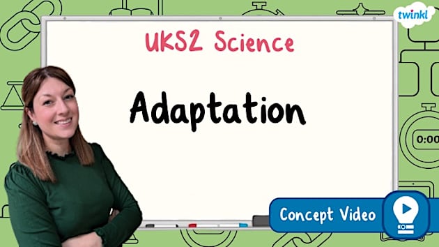 Adaptation | UKS2 Science Concept Video (teacher made)