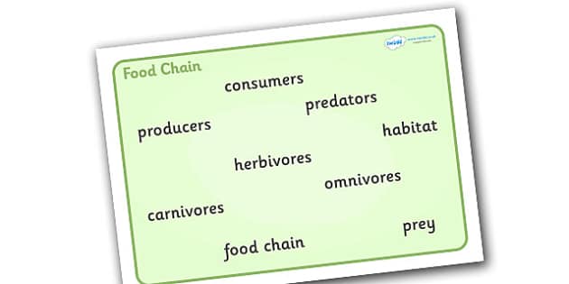 Food Chain Word Mat (no Images) - food, chain, food chain, foods, word mat