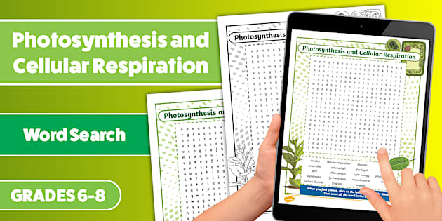 Photosynthesis and Cellular Respiration Word Search for 6-8