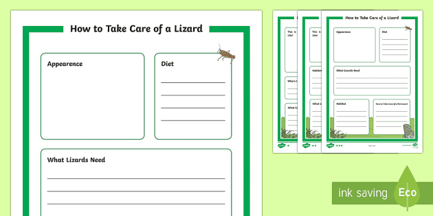 How to Take Care of a Lizard Fact File (teacher made)