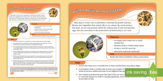 World Bee Day – Build a Native Bee Hotel (STEM) - Twinkl