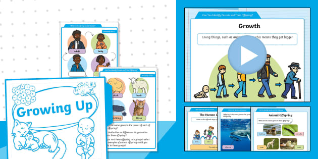 Step into Science: Y2: Summer: Block 2: Growing Up Steps 1 to 6