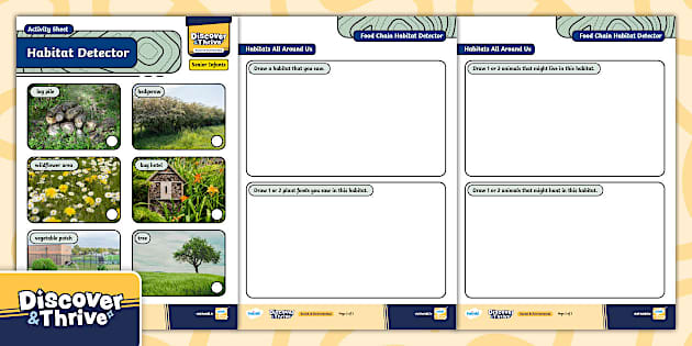 School Yard Habitat Detector Activity Sheet (teacher made)