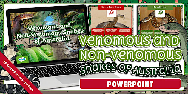 Venomous and Non-Venomous Snakes of Australia PowerPoint