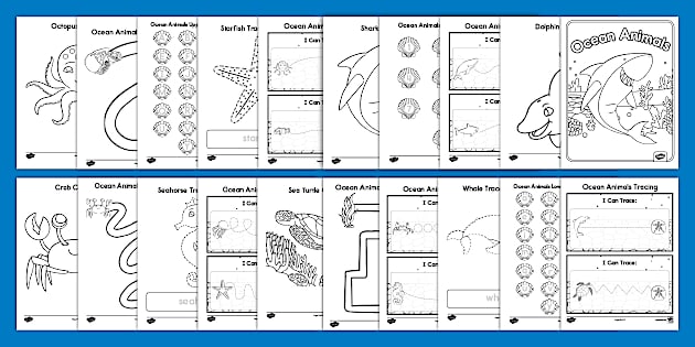Ocean Animals Toddler Busy Book (teacher made) - Twinkl