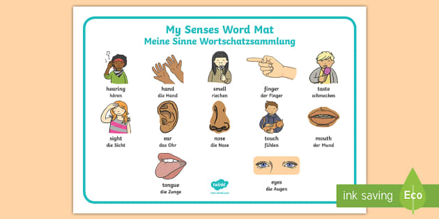 My Senses Ks1 Body Parts Word Mat English German Twinkl