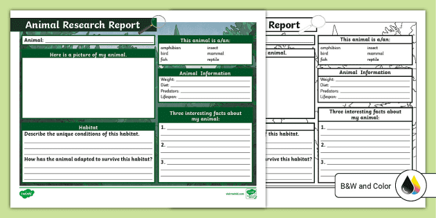 Animal Research Report Template | Science Resources | Twinkl